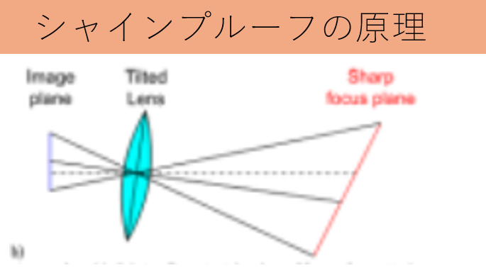 Scheimpflug（シャインプルーフ）の原理？ | 自由が丘 清澤眼科