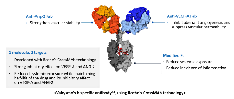 硝子体注射液ファリシマブ（バビースモ®）の作用機序 | 自由が丘 清澤眼科